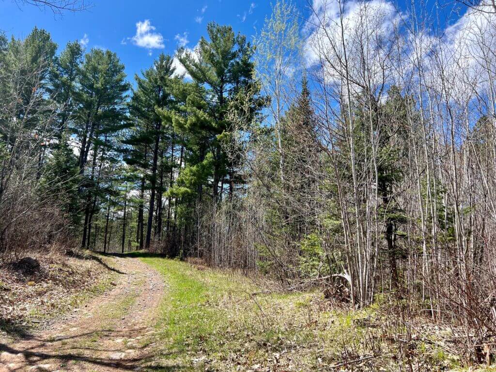 ATV/UTV - Park Falls Area Chamber of Commerce